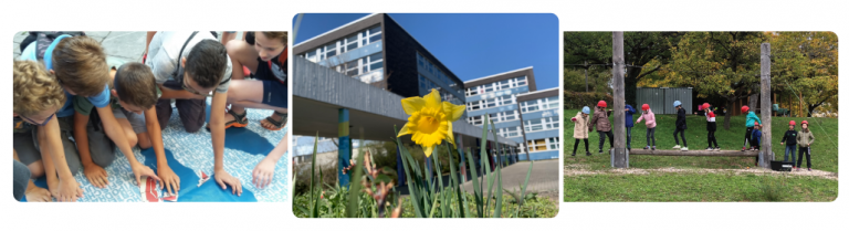 Die Realschule – Graf-Stauffenberg-Realschule Bamberg